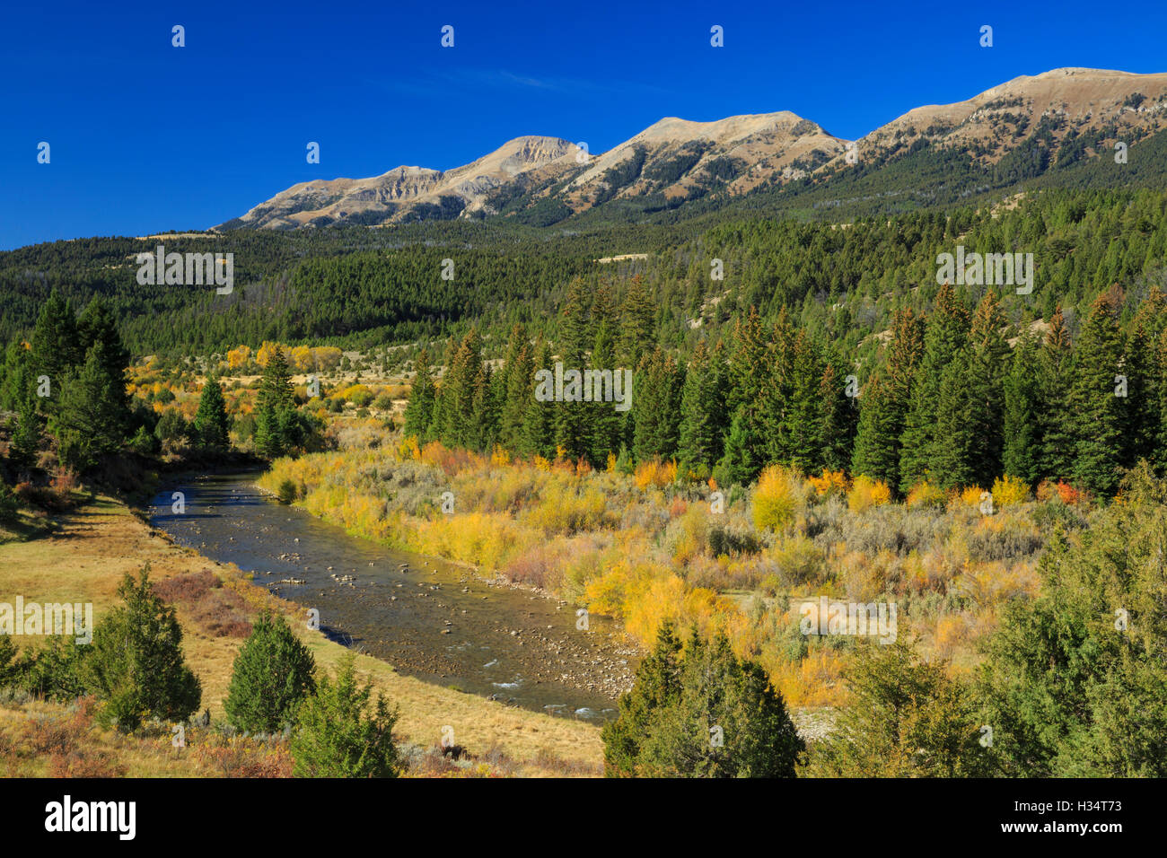 upper ruby river in autumn below the snowcrest range near alder ...