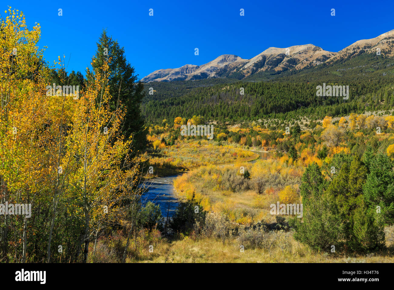 Ruby range hi-res stock photography and images - Alamy