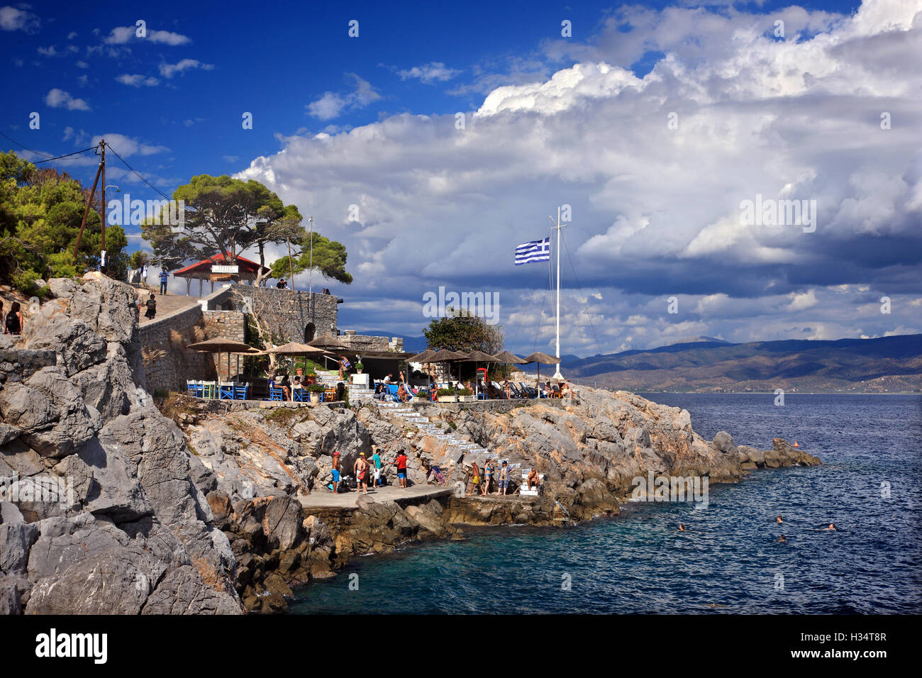 Hydronetta hydra hi-res stock photography and images - Alamy