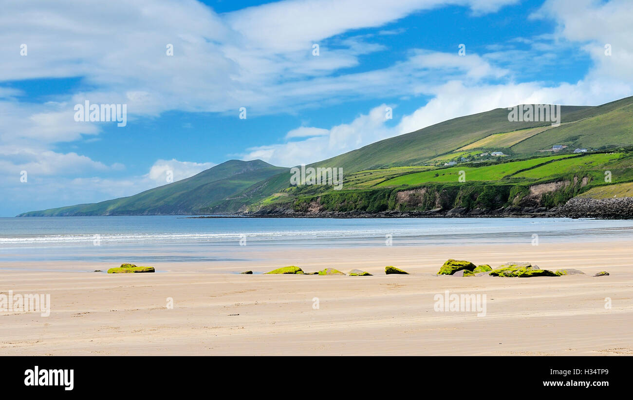 Summer afternoon at the Inch Beach, Kerry County, Ireland Stock Photo ...