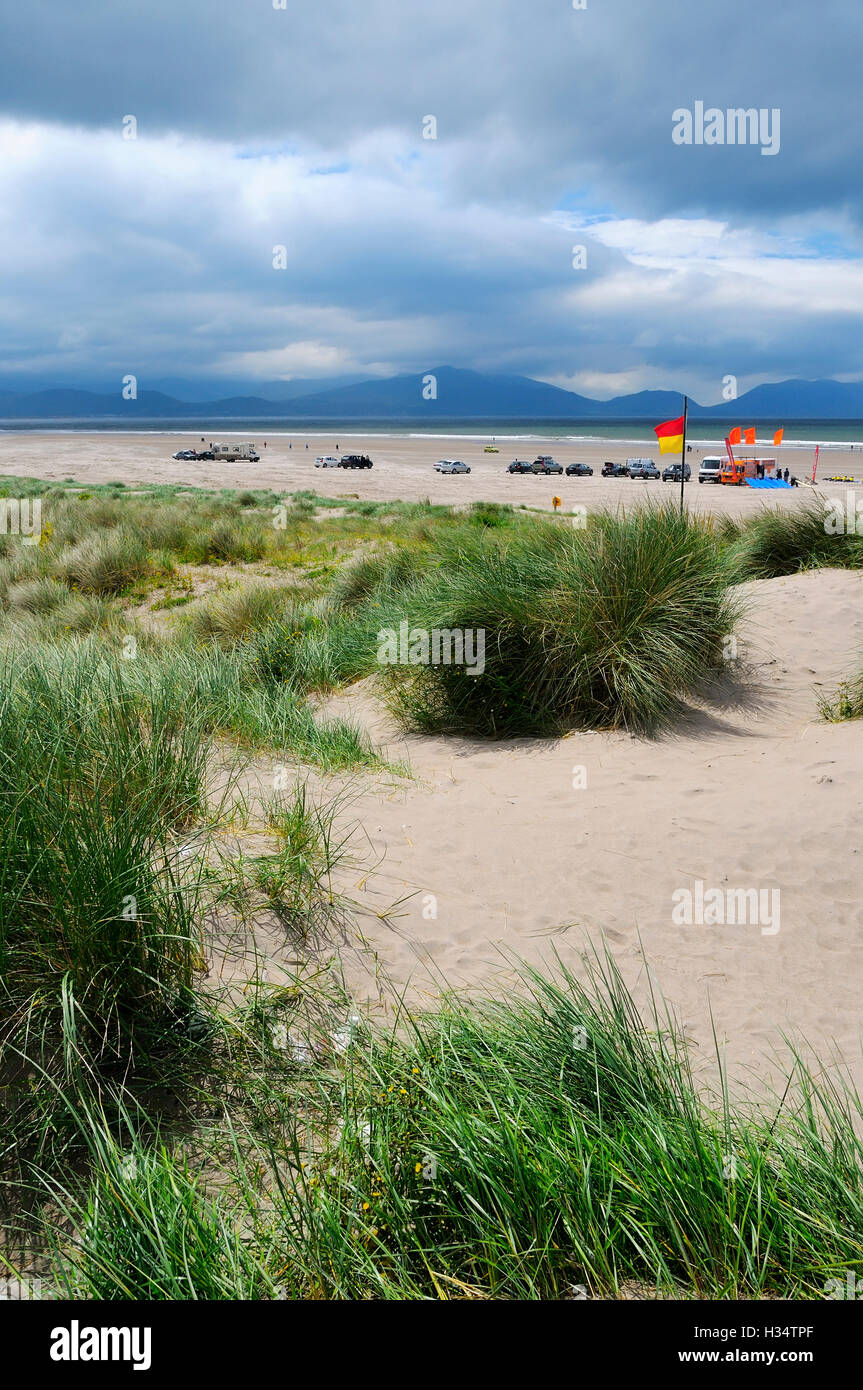 Stormy and windy summer afternoon at the Inch Beach, Kerry County ...