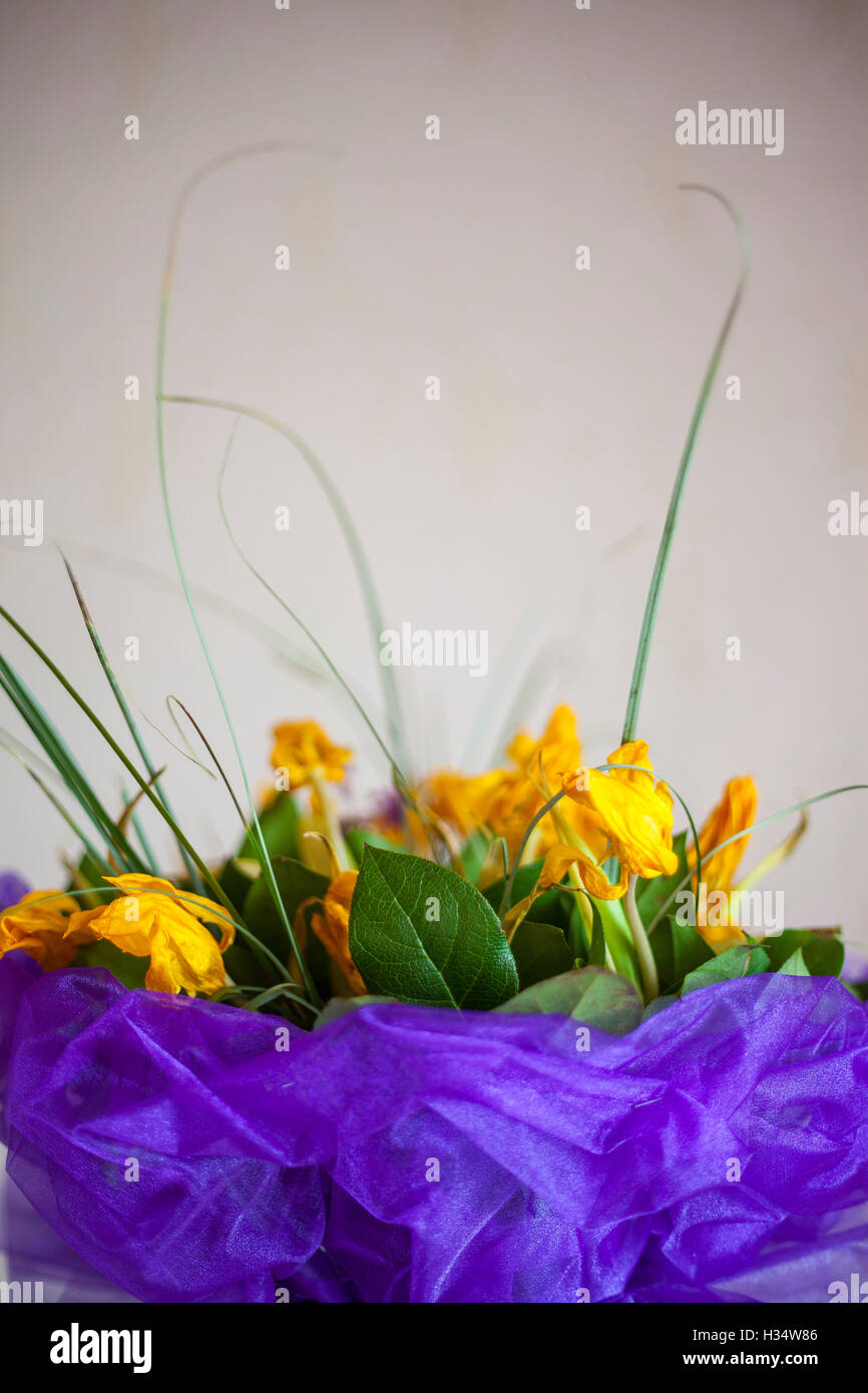 Spring text with tulip flower Stock Photo - Alamy