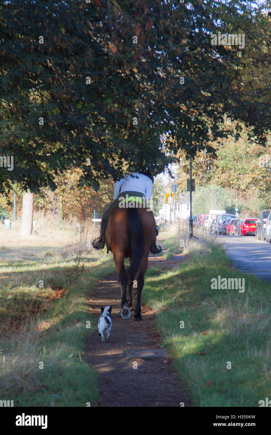 Wimbledon London, UK. 4th October 2016. Horse riders from the Wimbledon ...