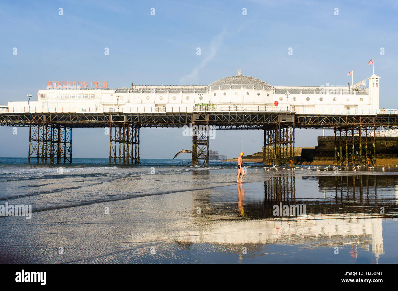 Brighton swimming club hi-res stock photography and images - Alamy