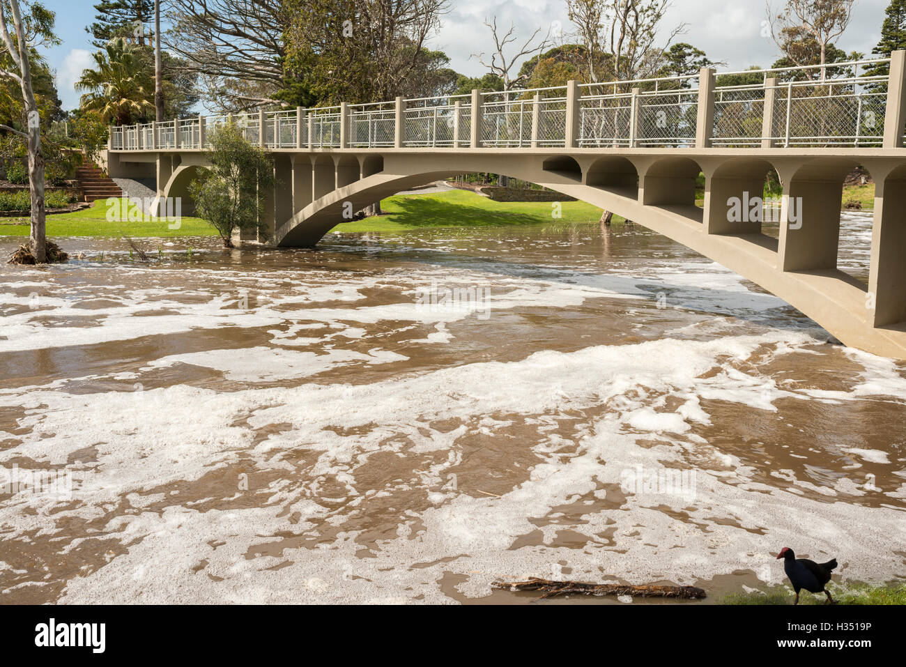 Angus park south australia hi-res stock photography and images - Alamy