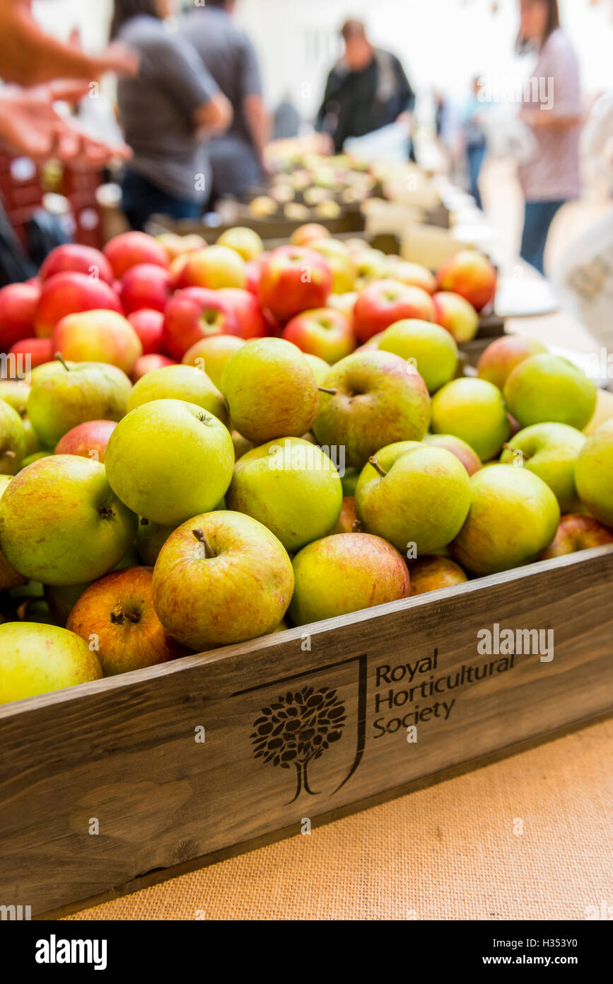London, UK. 4 October 2016. The RHS London Harvest Festival Show takes ...