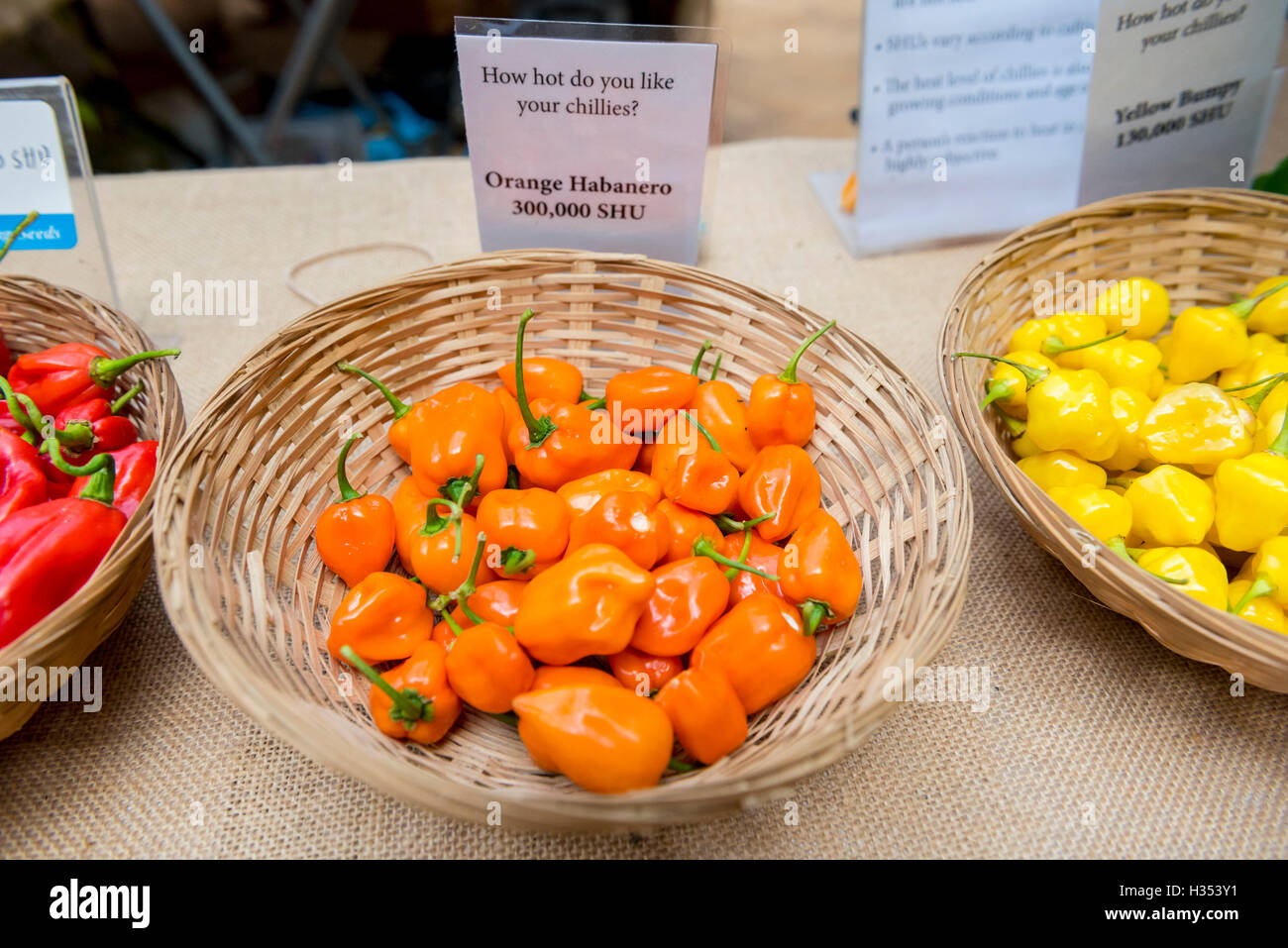 London, UK. 4 October 2016. The RHS London Harvest Festival Show takes ...