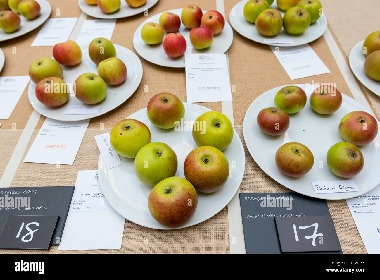 London, UK. 4 October 2016. The RHS London Harvest Festival Show takes ...