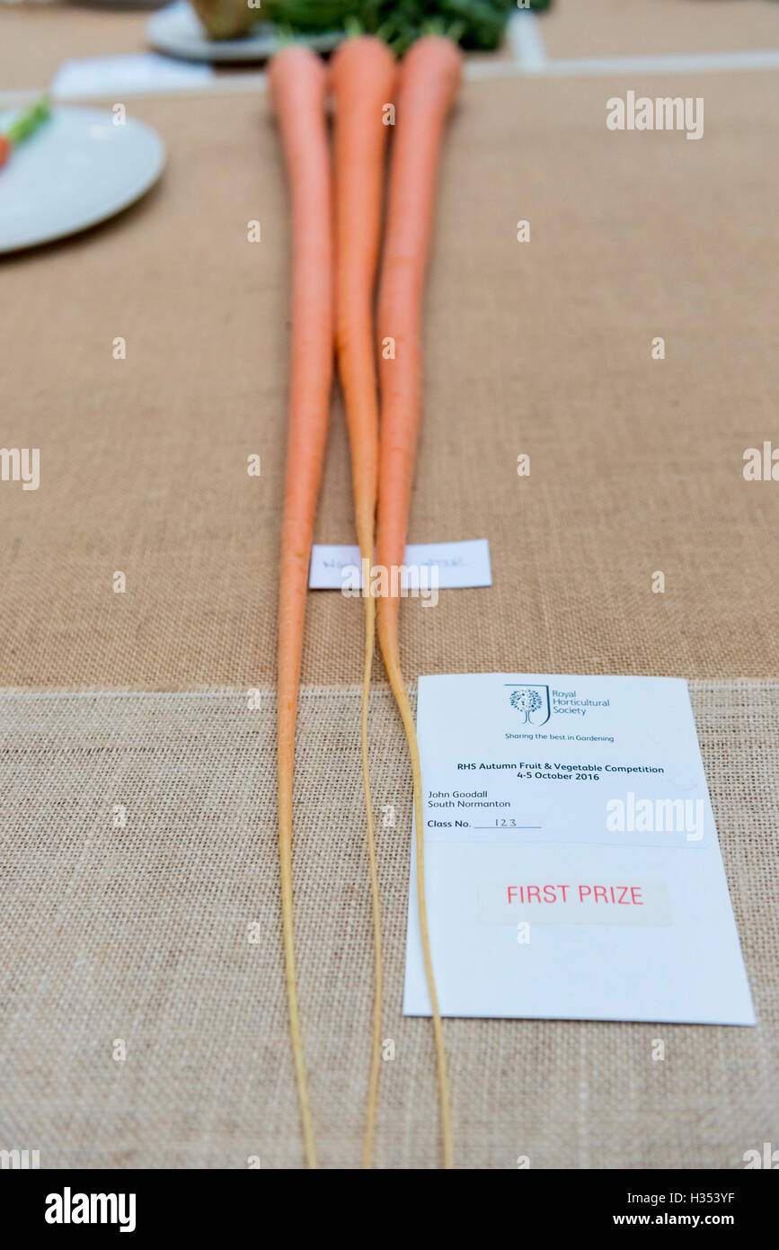 London, UK. 4 October 2016. The RHS London Harvest Festival Show takes ...