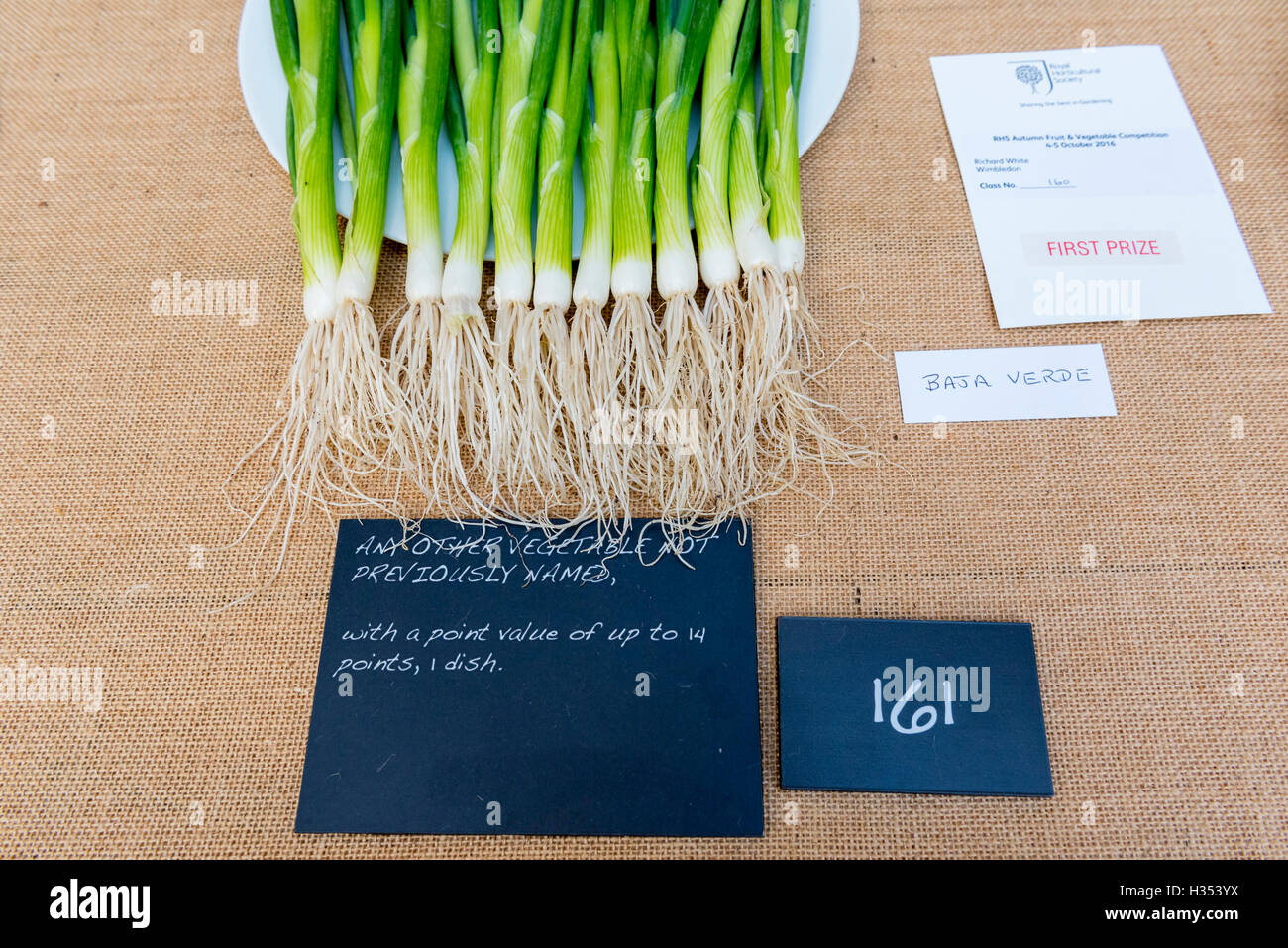 London, UK. 4 October 2016. The RHS London Harvest Festival Show takes ...