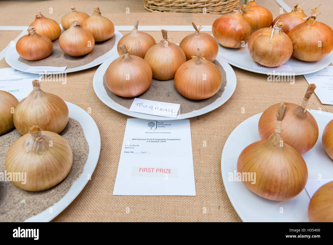London, UK. 4 October 2016. The RHS London Harvest Festival Show takes ...