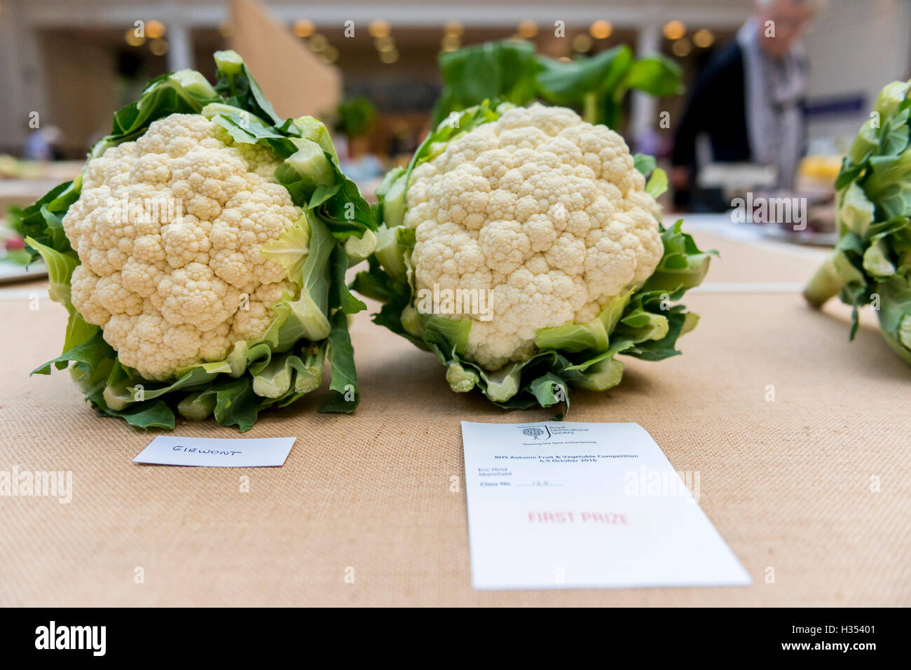 London, UK. 4 October 2016. The RHS London Harvest Festival Show takes ...