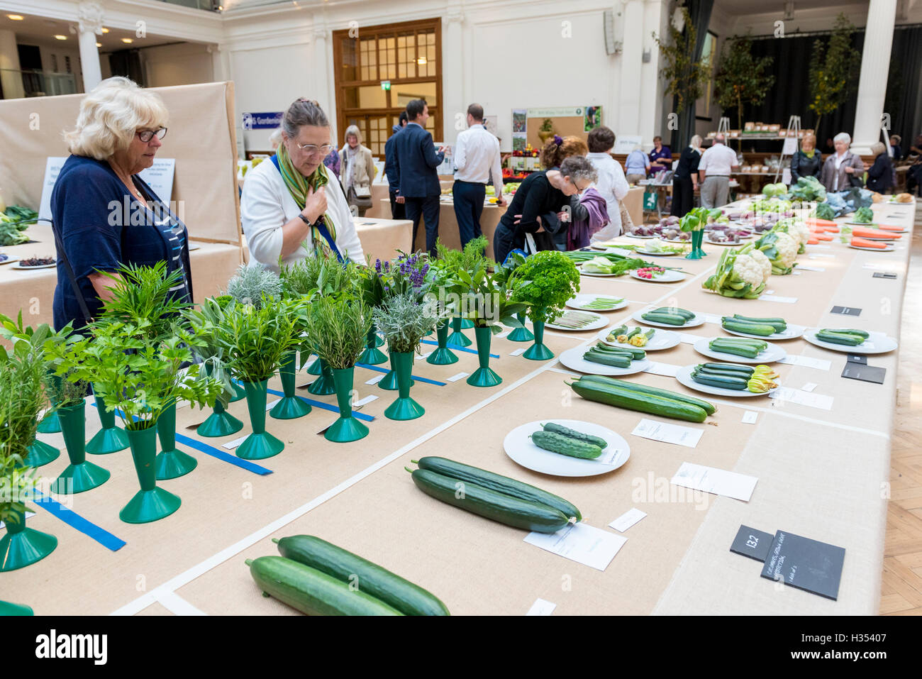 Vegetable growing competition hi-res stock photography and images - Alamy