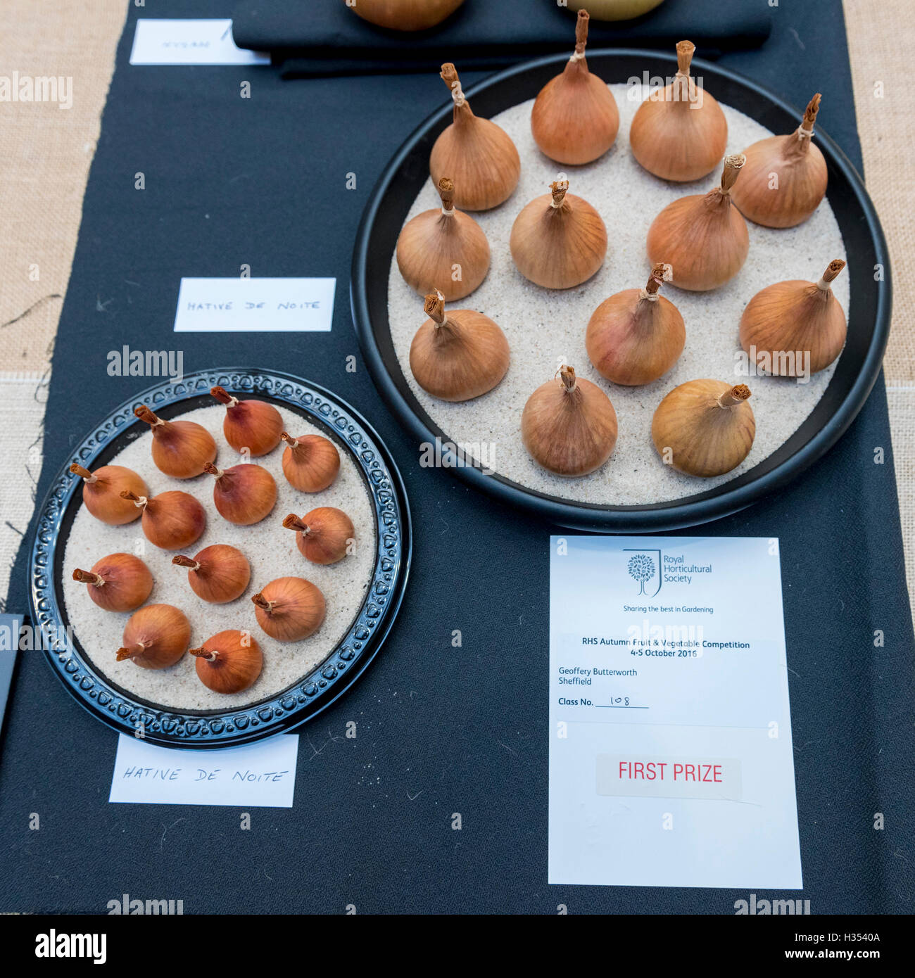 London, UK. 4 October 2016. The RHS London Harvest Festival Show takes ...