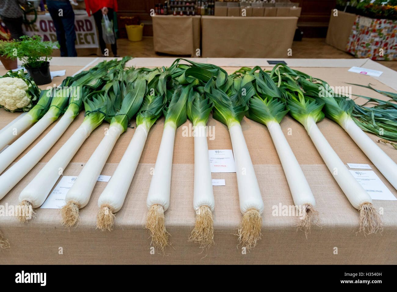 London, UK. 4 October 2016. The RHS London Harvest Festival Show takes ...