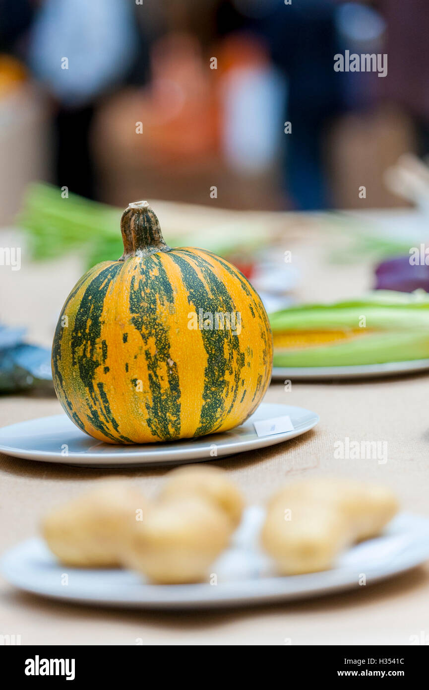 London, UK. 4 October 2016. The RHS London Harvest Festival Show takes ...