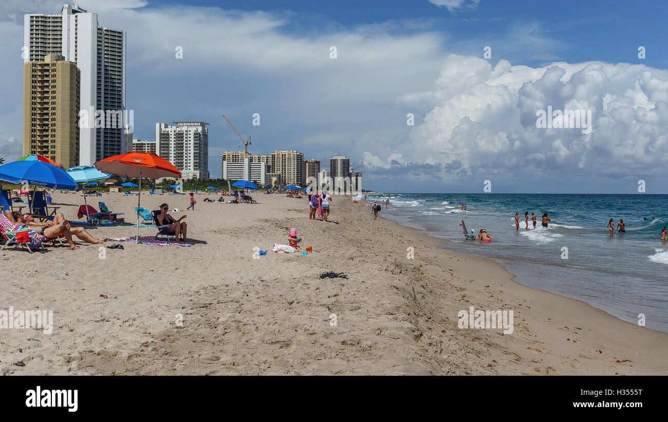Singer island beach palm hi-res stock photography and images - Alamy