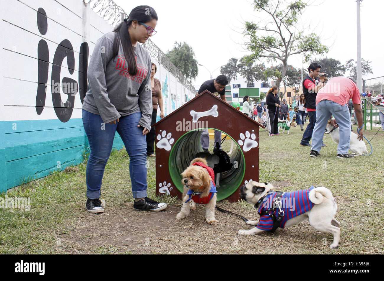 Lima, Peru. 4th Oct, 2016. Residents play with their dogs at "Zona Guau ...