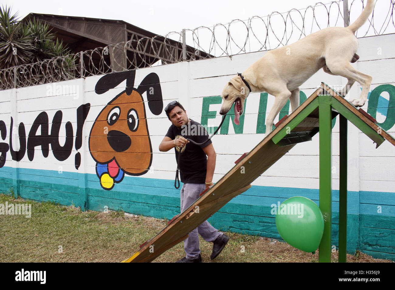 Lima, Peru. 4th Oct, 2016. A man plays with his dog at "Zona Guau", the ...