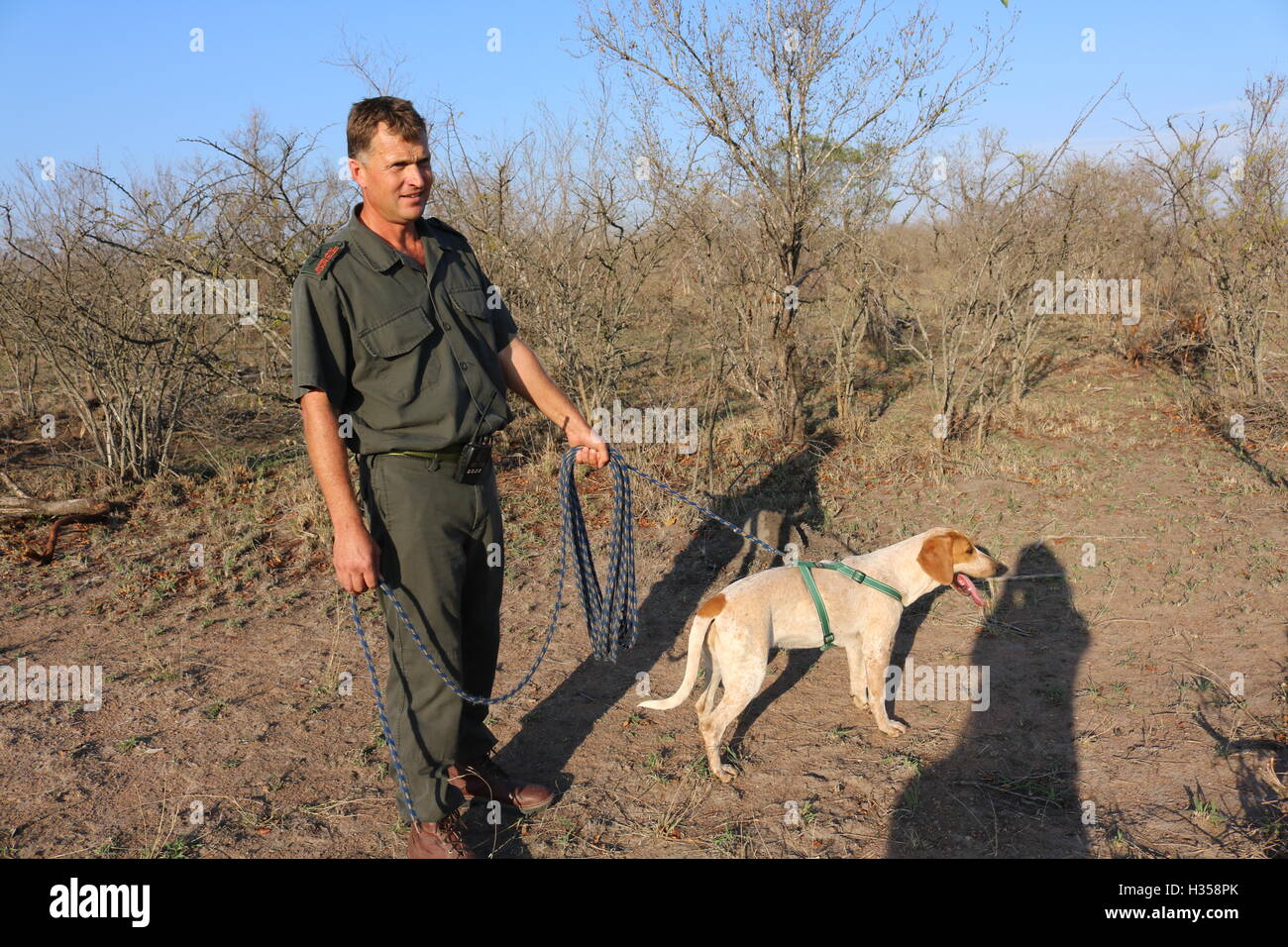 Hoedspruit, South Africa. 01st Oct, 2016. Dog trainer Johan van ...