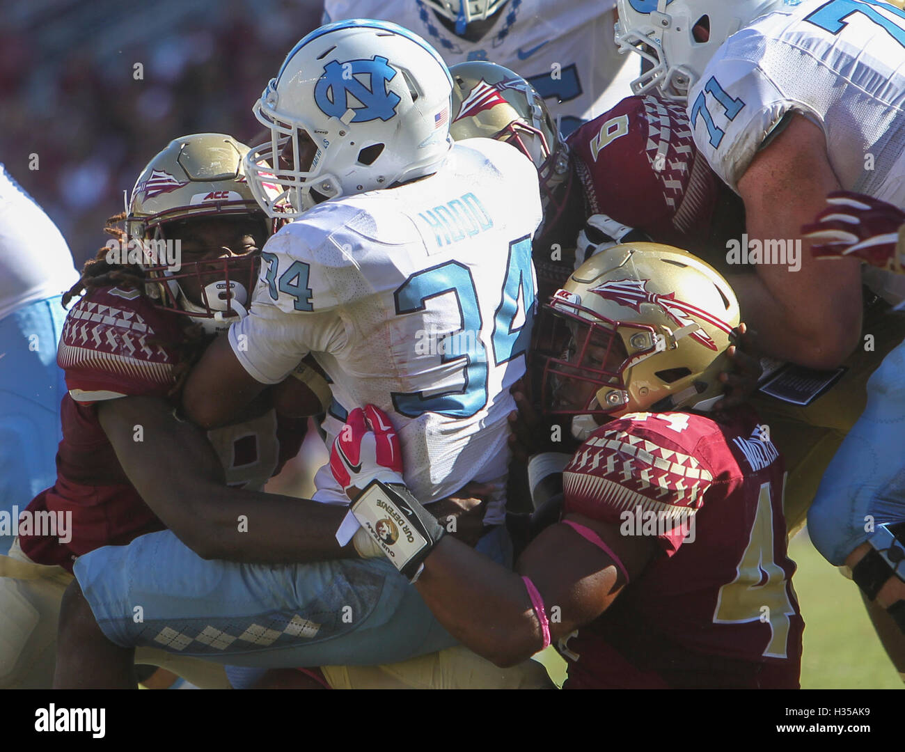Tampa, Florida, USA. 1st Oct, 2016. MONICA HERNDON | Times.North ...