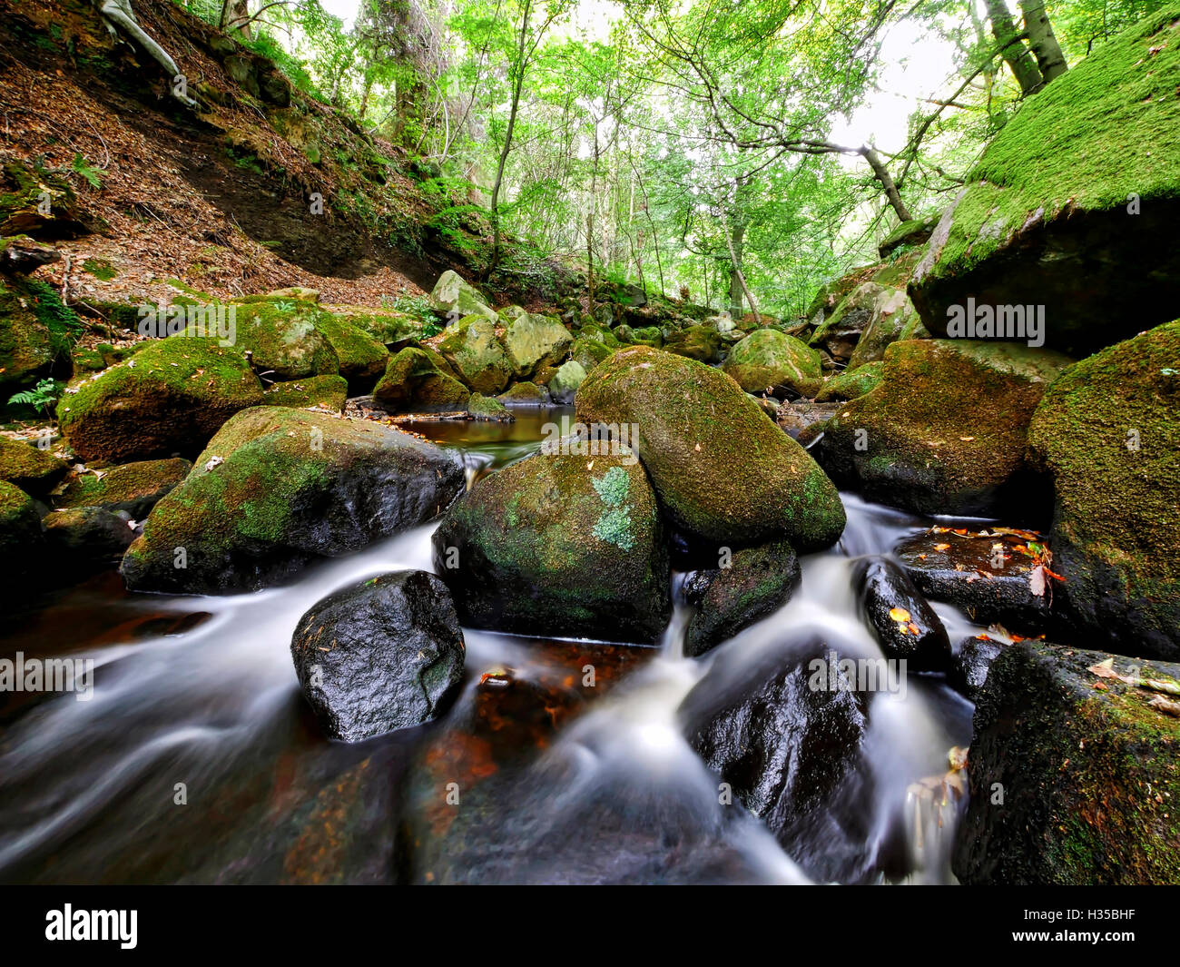 Padley Gorge, Grindleford, Peak District, Derbyshire, UK. 5th October ...