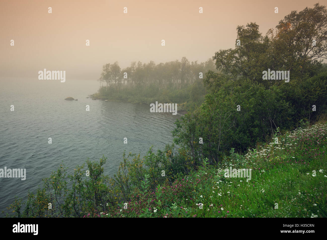Misty morning over lake. Rural landscape Stock Photo - Alamy