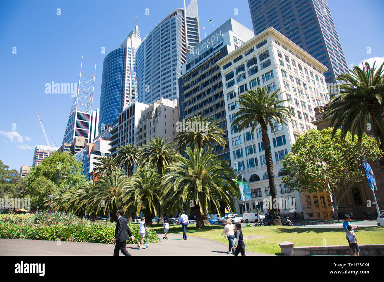 Sydney Royal botanic garden and high rise office towers skyscrapers in ...