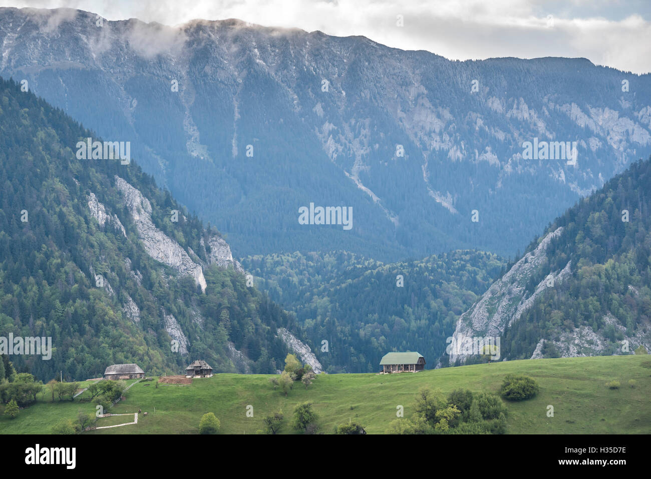 Romanian landscape in the Carpathian Mountains near Bran Castle at ...