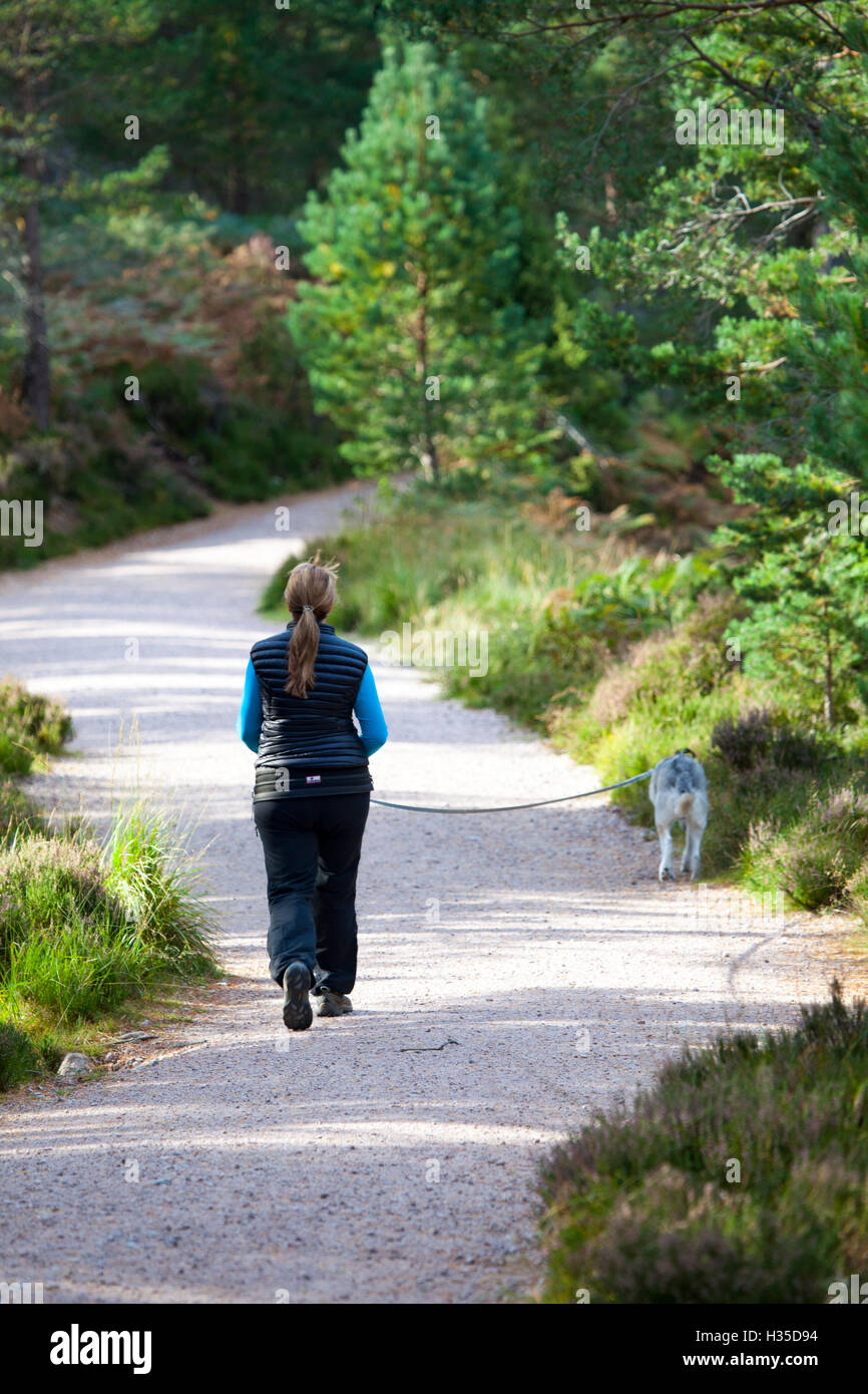 Female walker walking around on the path that circles Loch an Eilein ...