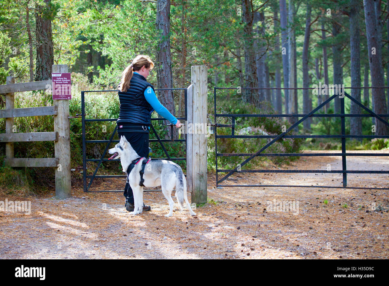 Person opening gate hi-res stock photography and images - Alamy