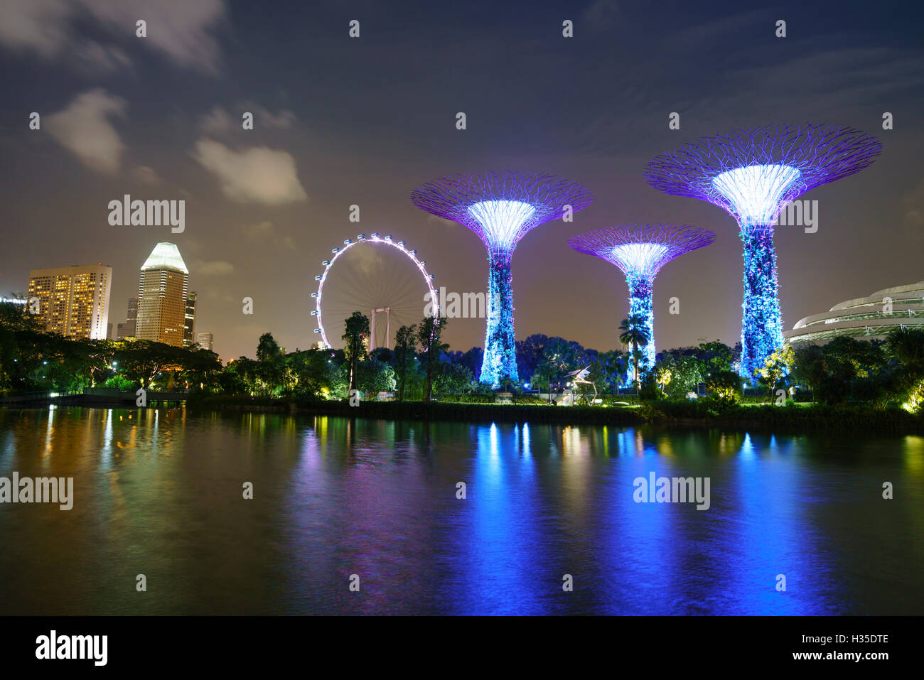 Supertree Grove in the Gardens by the Bay, a futuristic botanical ...