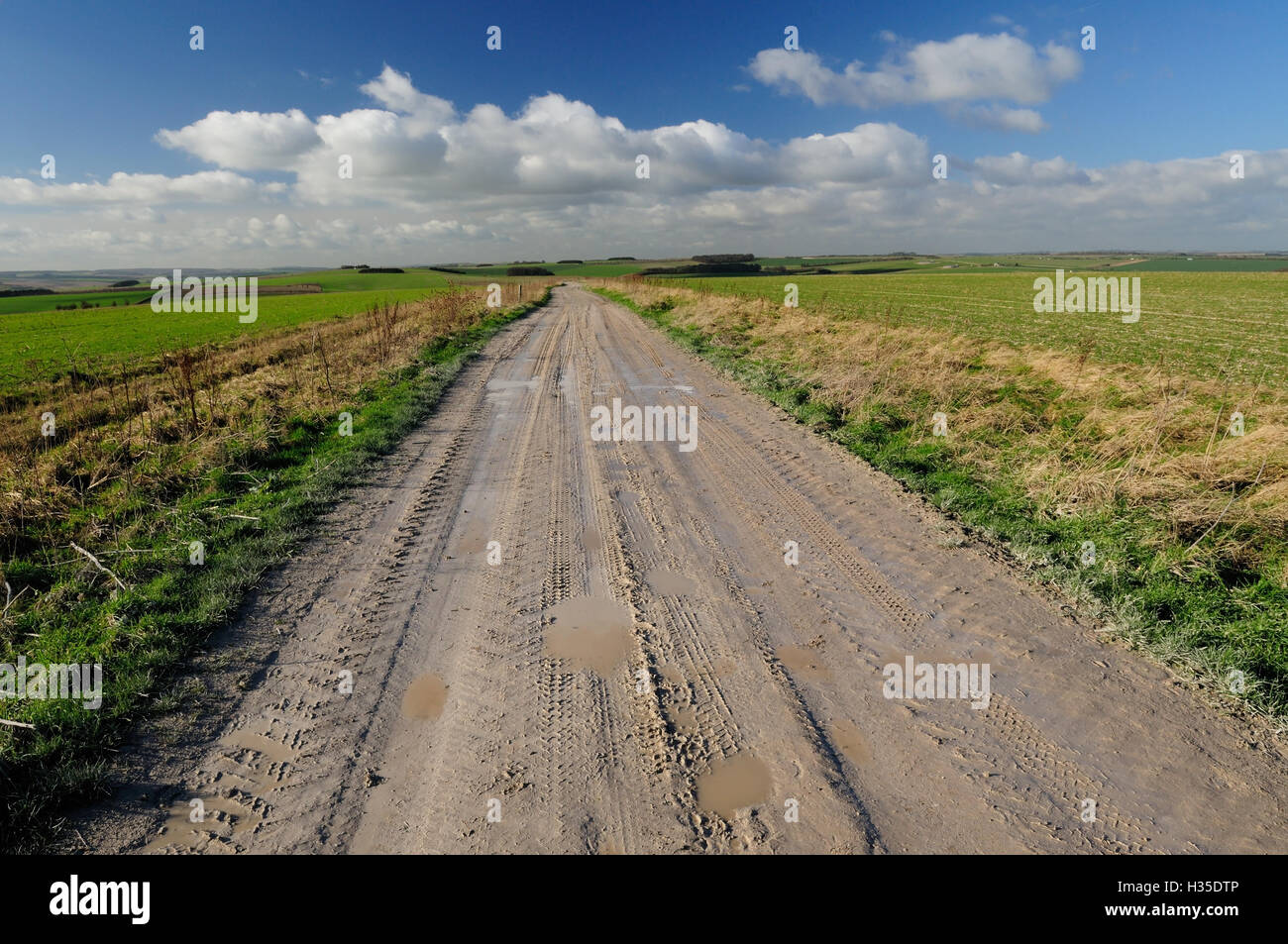 Muddy Farmland High Resolution Stock Photography and Images - Alamy
