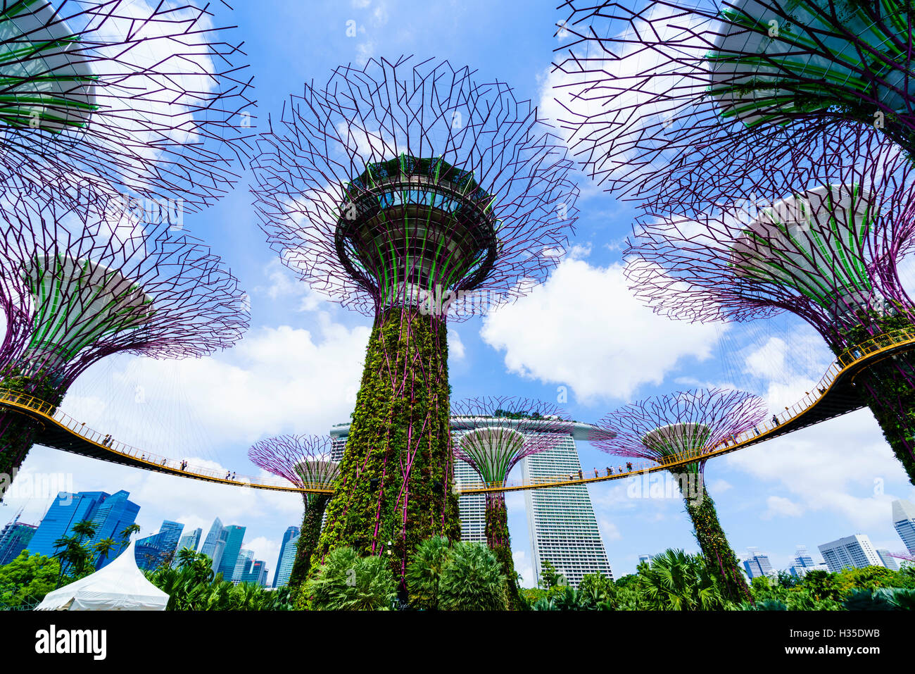Supertree Grove in the Gardens by the Bay, a futuristic botanical ...