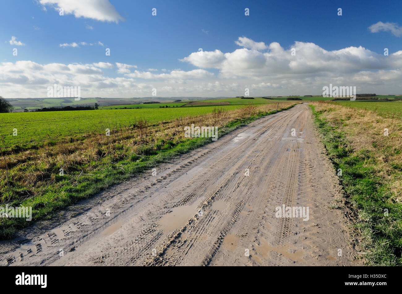 A muddy farm track across open downland on Salisbury Plain Stock Photo ...