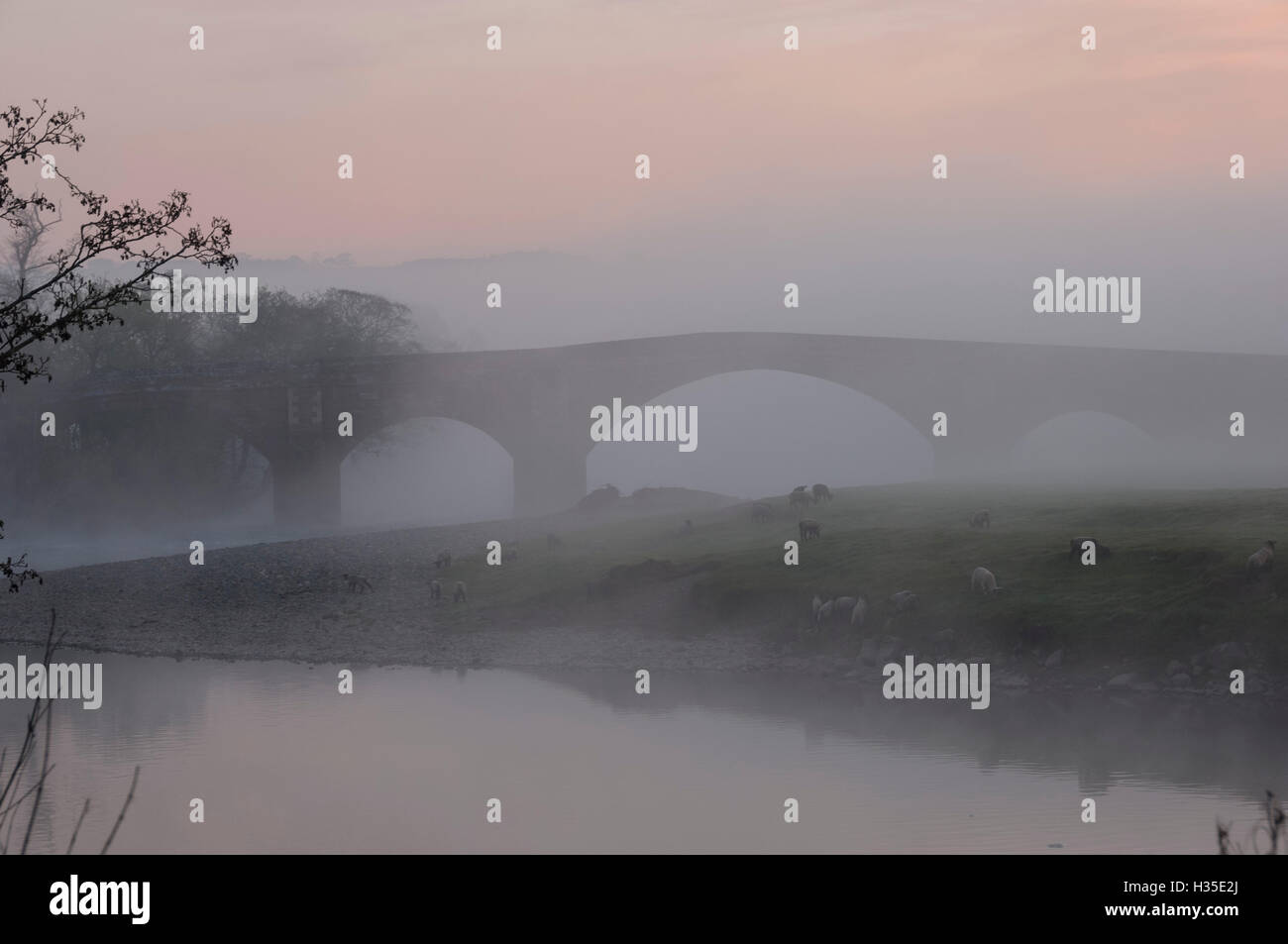 Eden Bridge, Lazonby, Eden Valley, Cumbria, England, UK Stock Photo - Alamy