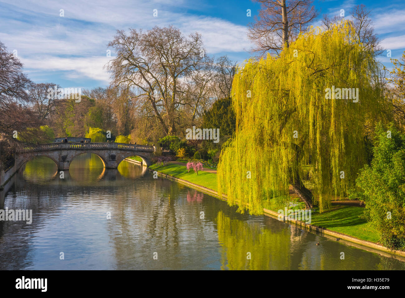The Backs, River Cam, Cambridge, Cambridgeshire, England, UK Stock ...
