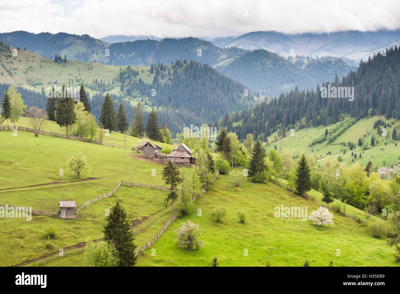 Hilly rural landscape of the Bukovina Region at Sadova, Romania Stock ...