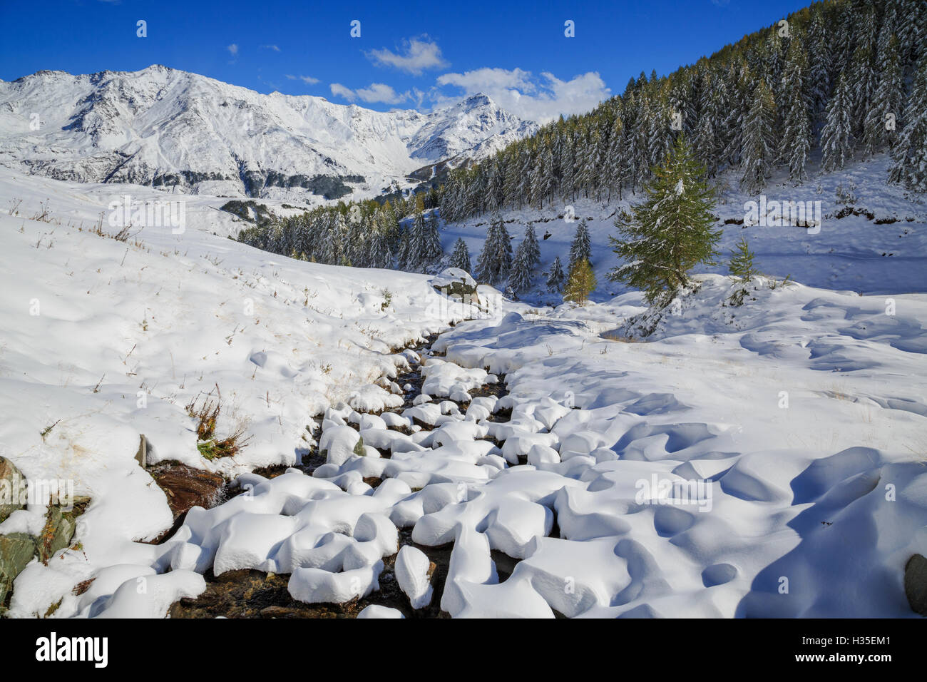 Aerial view of the snowy woods and high peaks, Vamlera, Febbraro Valley ...