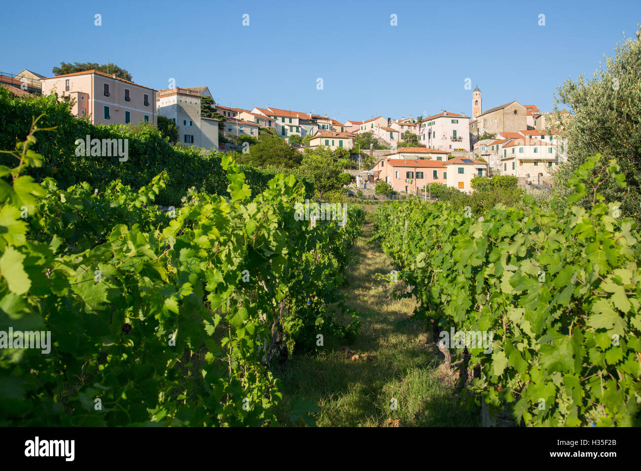 Diano marina italy hi-res stock photography and images - Alamy