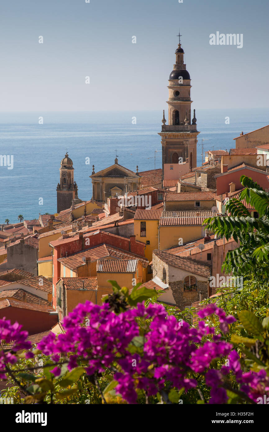 View of medieval Menton and Basilique Saint Michel, Alpes-Maritimes ...