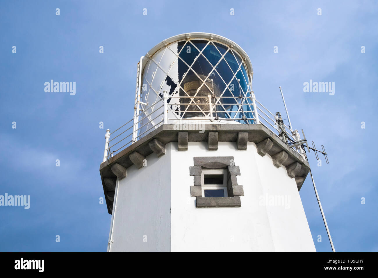 Blackhead Stock Photos & Blackhead Stock Images - Alamy
