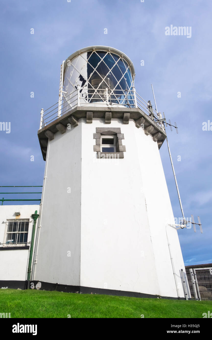 Blackhead hi-res stock photography and images - Alamy