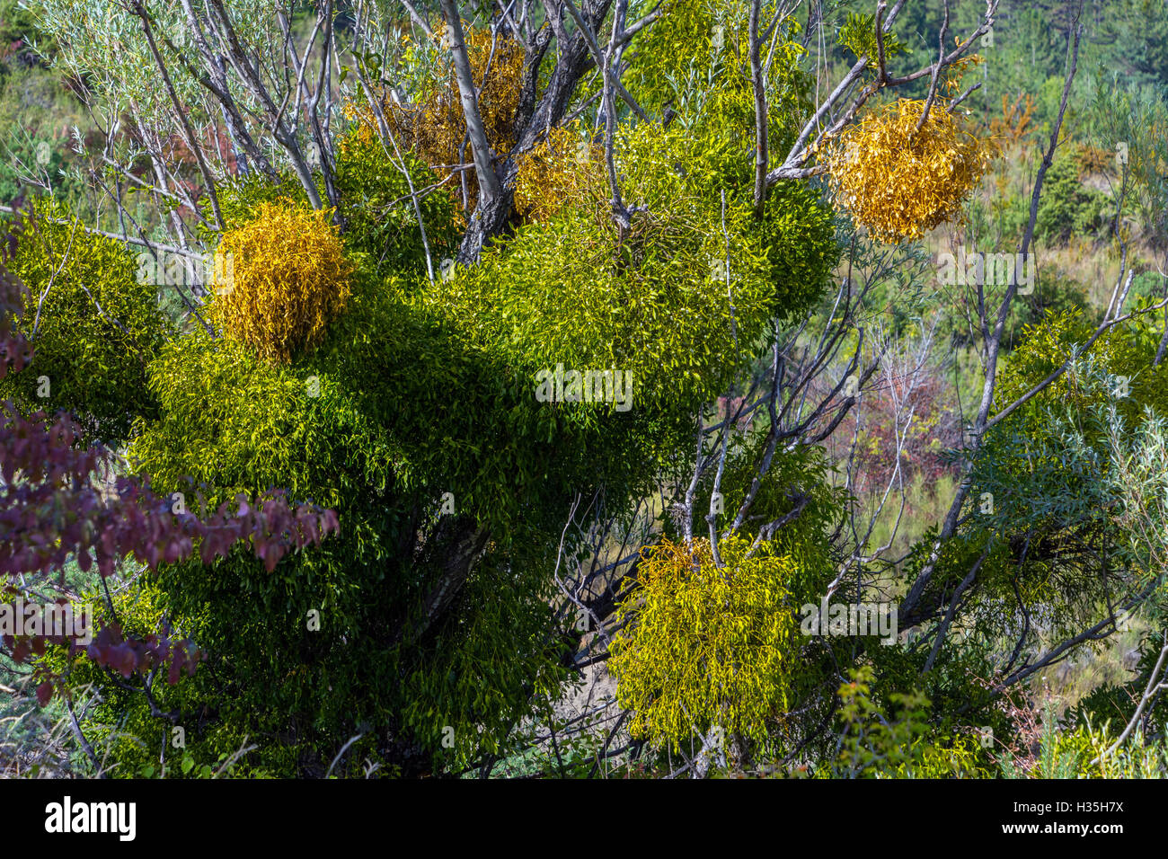 Large area hi-res stock photography and images - Alamy