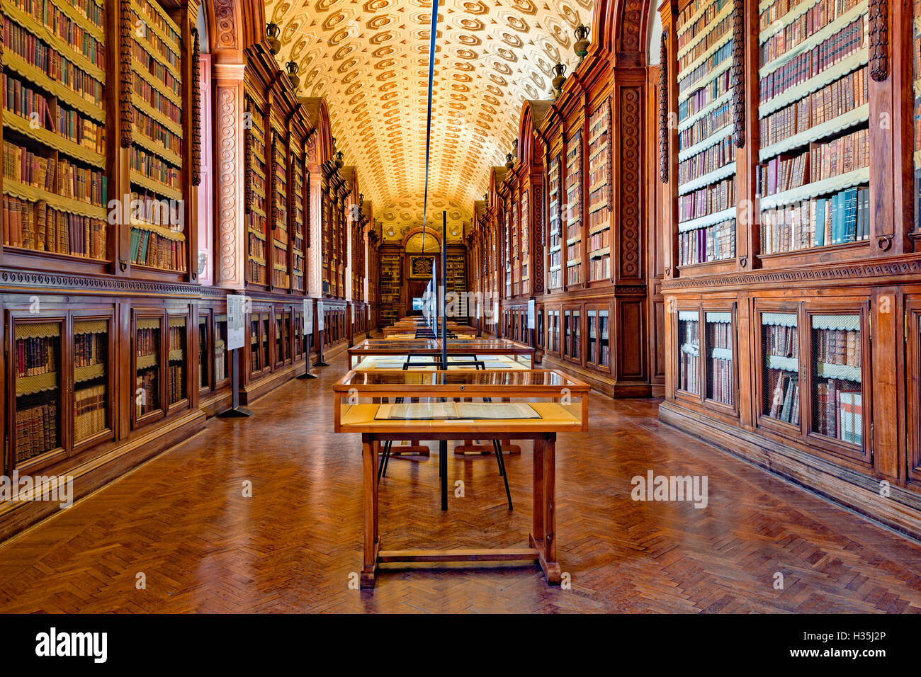 Palatine library hi-res stock photography and images - Alamy