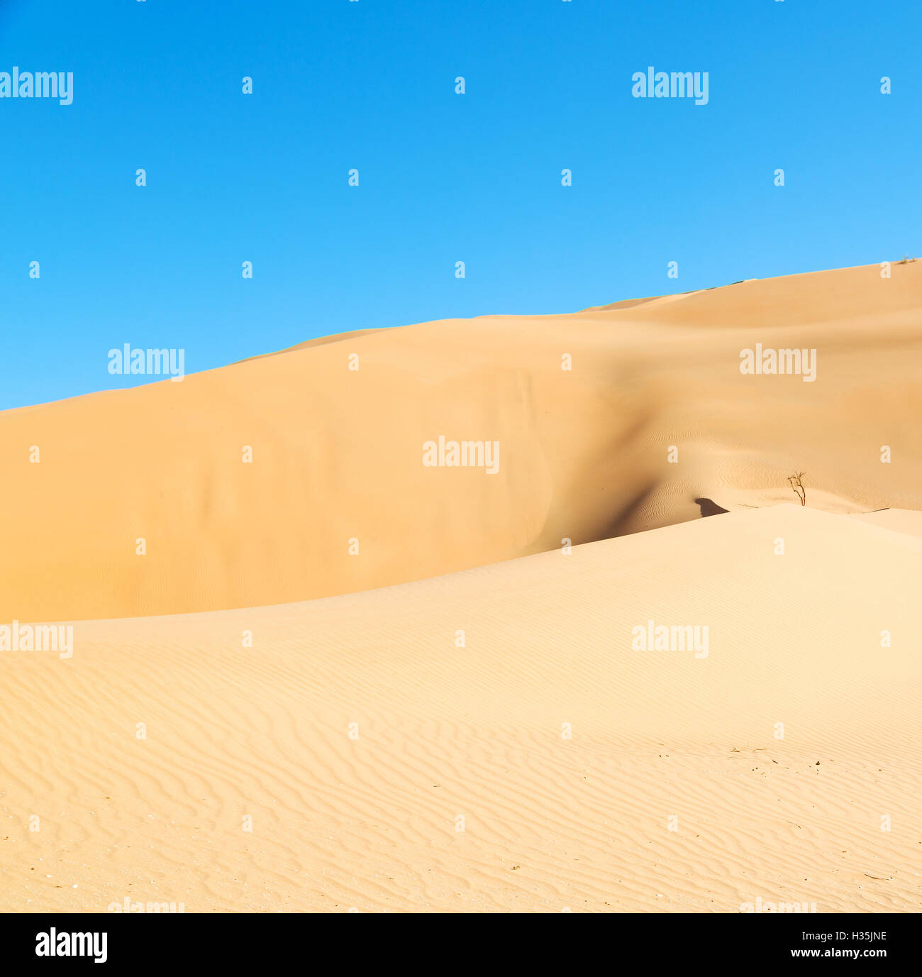 the empty quarter and outdoor sand dune in oman old desert rub al khali ...