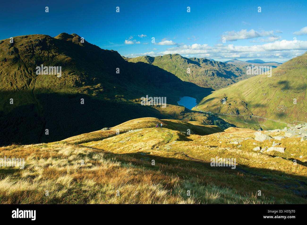 Beinn an Lochain and Loch Restil from Ben Donich, the Arrochar Alps ...