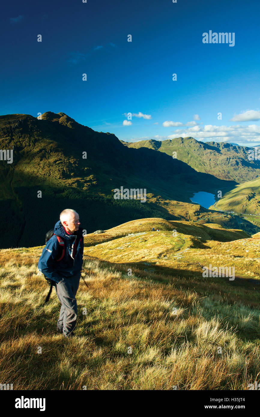 Beinn an Lochain and Loch Restil from Ben Donich, the Arrochar Alps ...