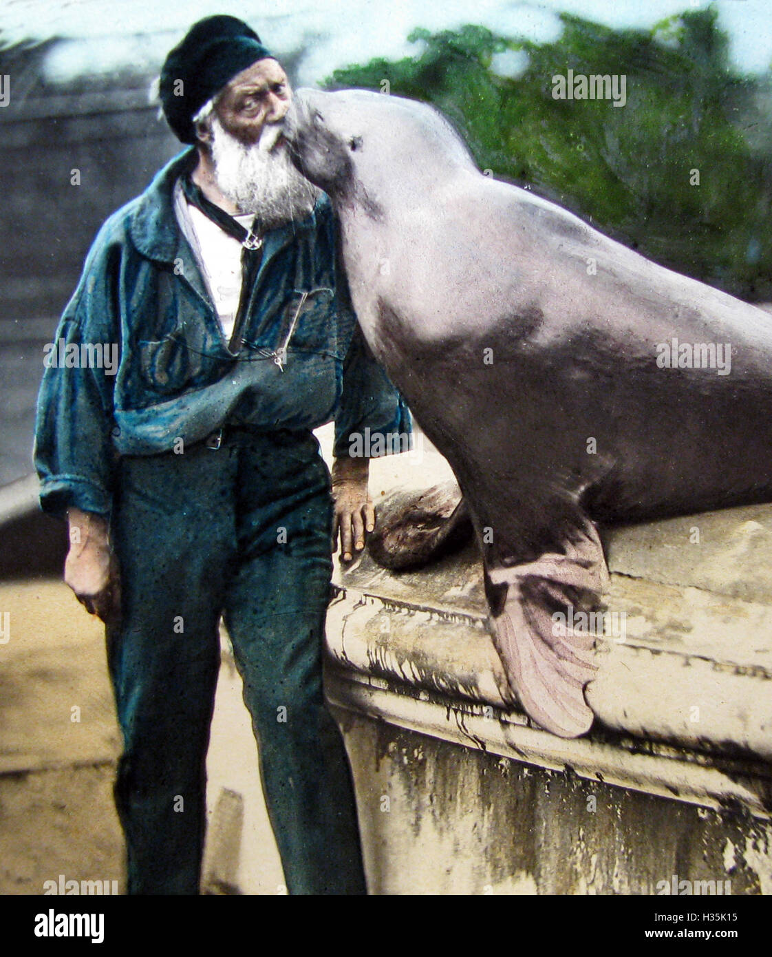 Hand coloured photo, zoo keeper with sea lion (probably London Zoo ...