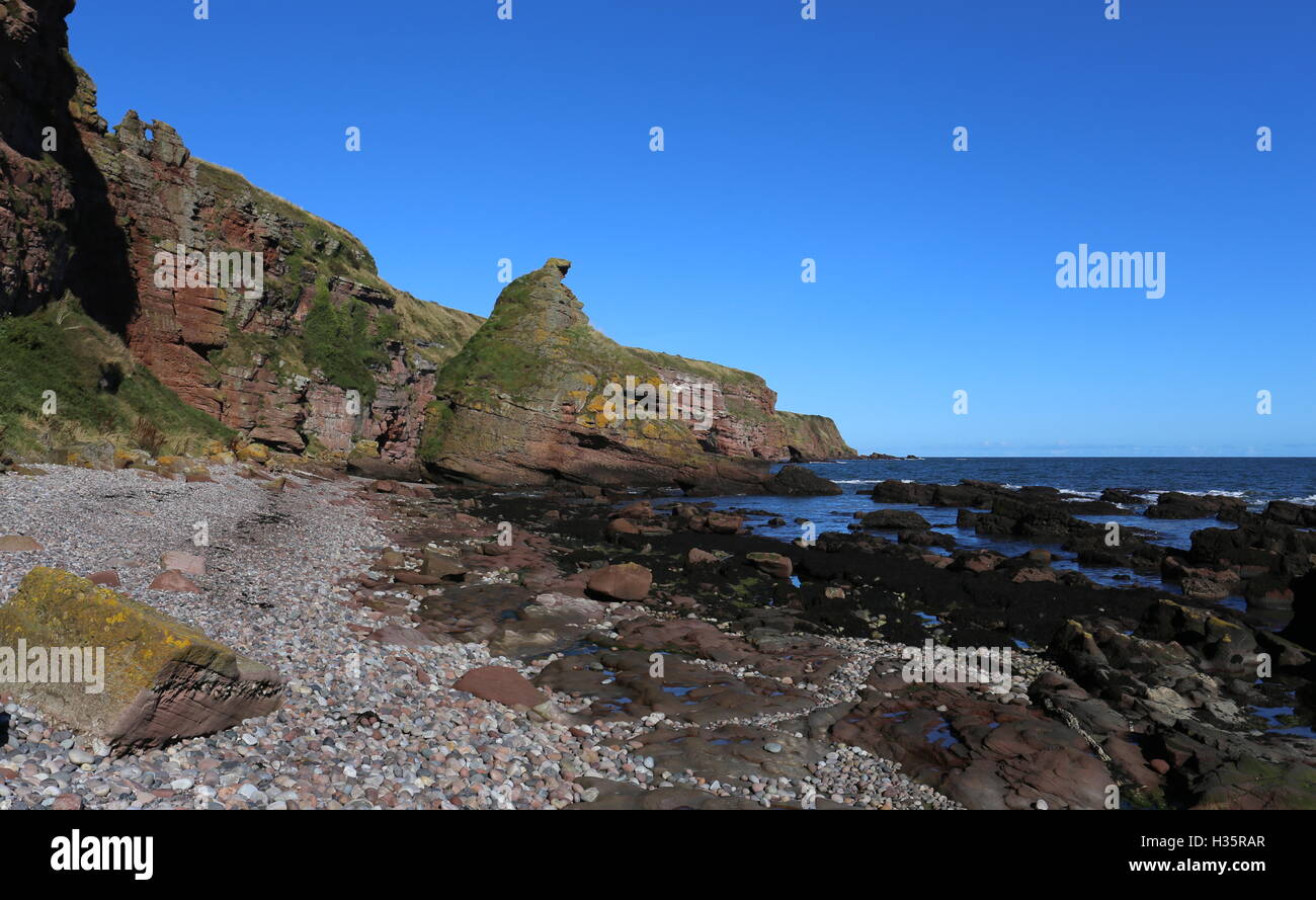 Spindle Rock and Maiden Stane Auchmithie Angus Scotland October 2016 ...